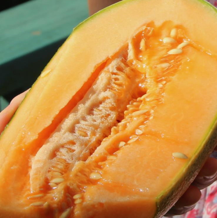 melon fruit orange