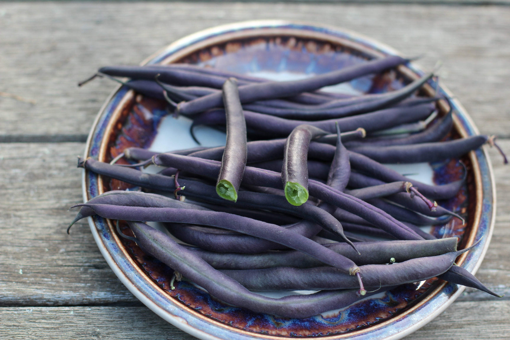 Beans - The Complete Guide to Growing Beans from Seed to Seed – Sow ...