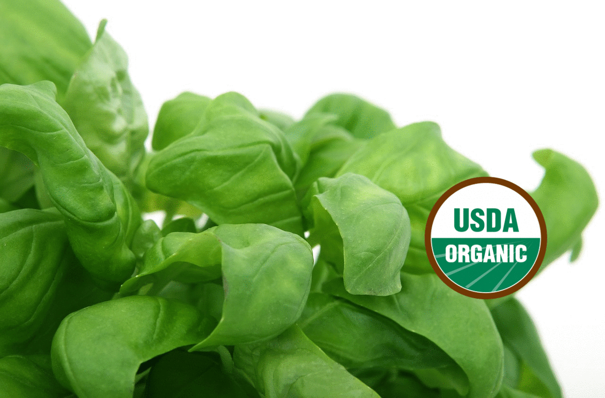 Organic Seeds | Sow True Seed