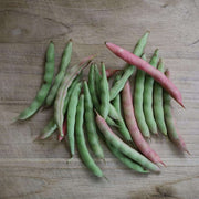 Pole Bean Seeds - Fortex, ORGANIC | Sow True Seed