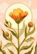 Erfurter Orange Calendula | Sow True Seed | Open Pollinated