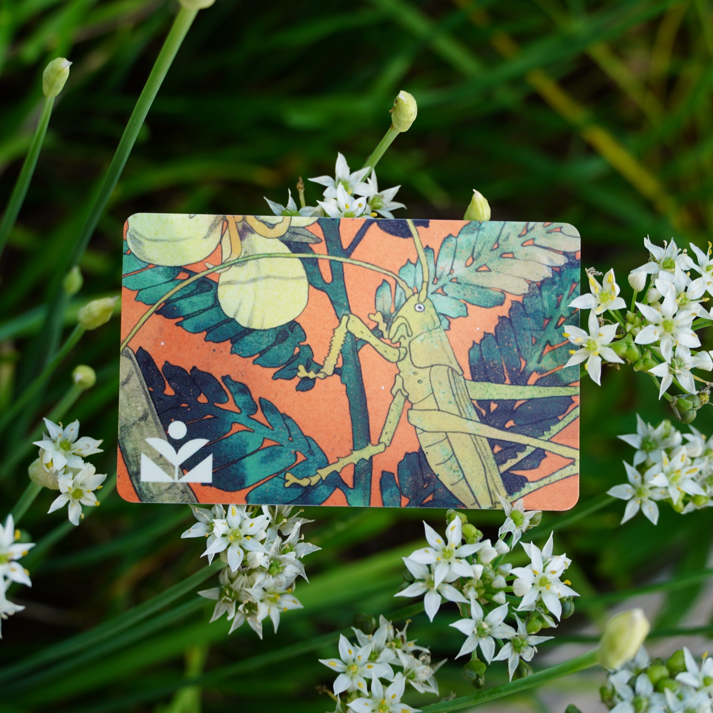 Ladbrooke Soil Blockers - 3/4" Micro Blocker (20 Blocks) – Sow True Seed