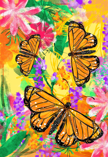 Monarch Butterfly Flower Mix | Sow True Seed | Open Pollinated