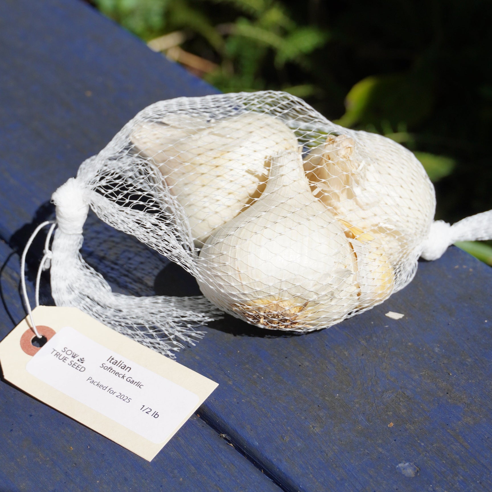 Italian Softneck Seed Garlic | Sow True Seed