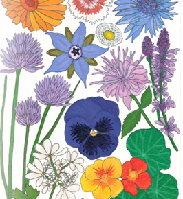 Flower Seed Mix - Edible Flowers | Sow True Seed