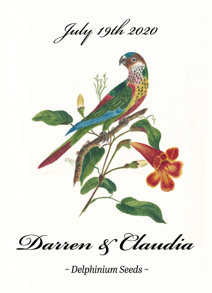 Pre-Designed Template - Parakeet | Sow True Seed