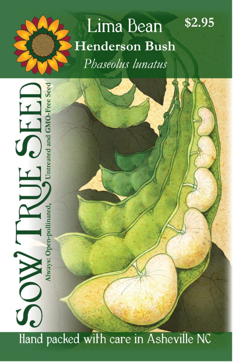 Lima Bean Seeds - Henderson Bush | Sow True Seed