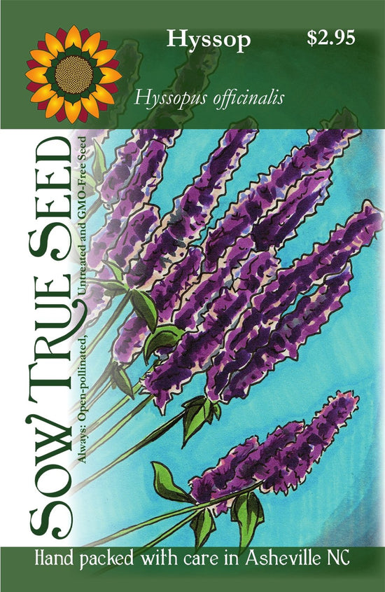 Hyssop Seeds | Sow True Seed