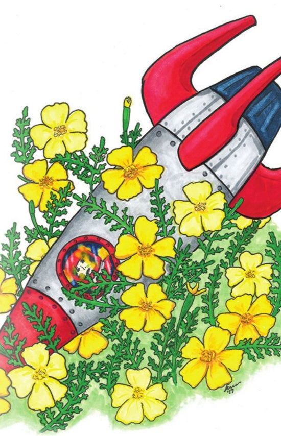 Marigold Seeds - Lemon Gem | Sow True Seed