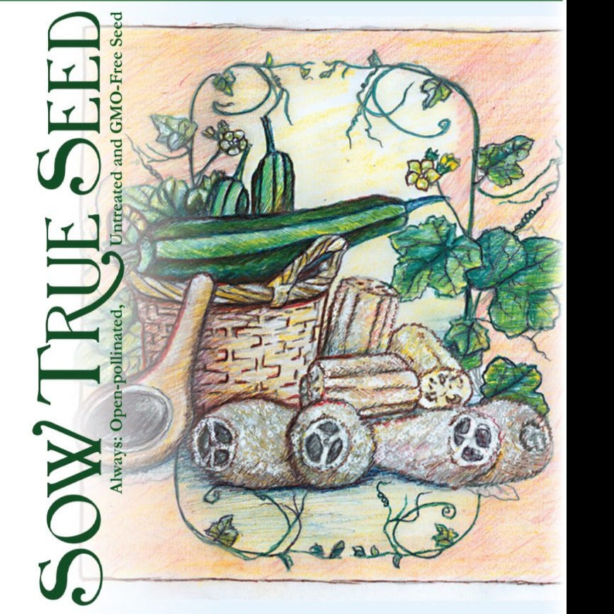 Gourd Seeds - Luffa | Sow True Seed