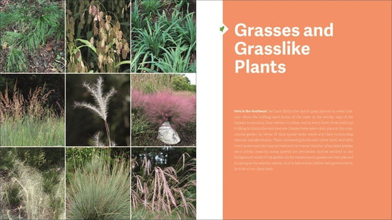 The Southeast Native Plant Primer | Sow True Seed