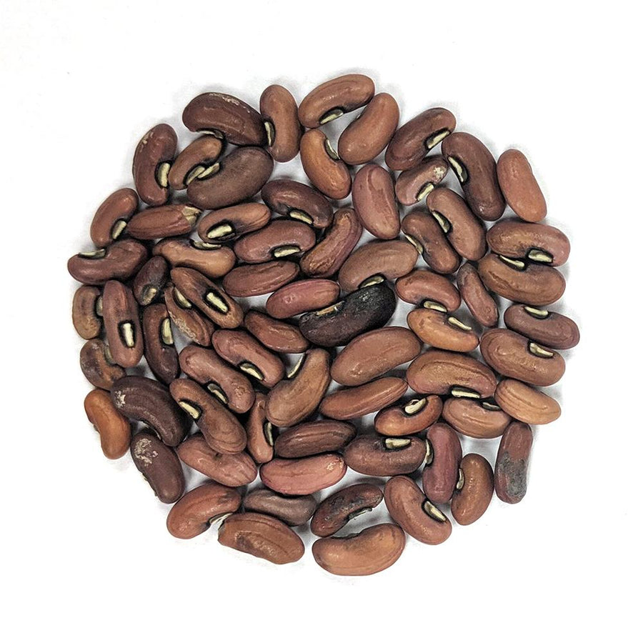 Bean - Yard Long Red Seeded Asparagus Bean, Asian long bean seeds – Sow ...