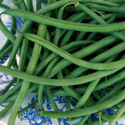 Pole Bean Seeds - Fortex, ORGANIC | Sow True Seed