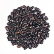 Pole Bean Seeds - Fortex, ORGANIC | Sow True Seed