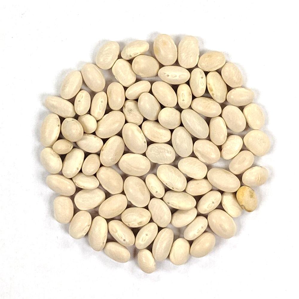 Pole Bean Seeds - Mountaineer White Half Runner | Sow True Seed