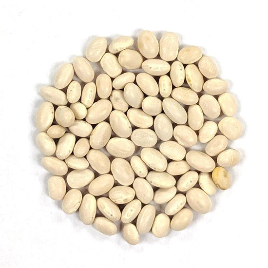 Pole Bean Seeds - Mountaineer White Half Runner | Sow True Seed