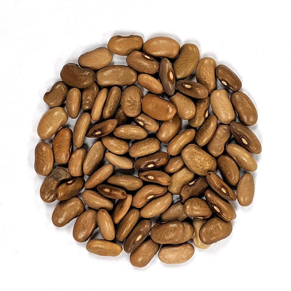 Pole Bean Seeds - Kentucky Wonder | Sow True Seed