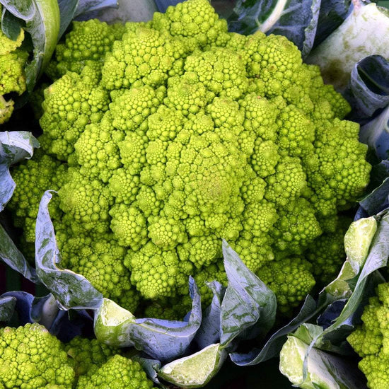 Broccoli Seeds - Romanesco, ORGANIC | Sow True Seed