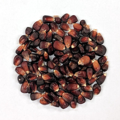 Corn Seeds – Sow True Seed