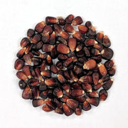 Dent Corn Seeds - Jimmy Red | Sow True Seed