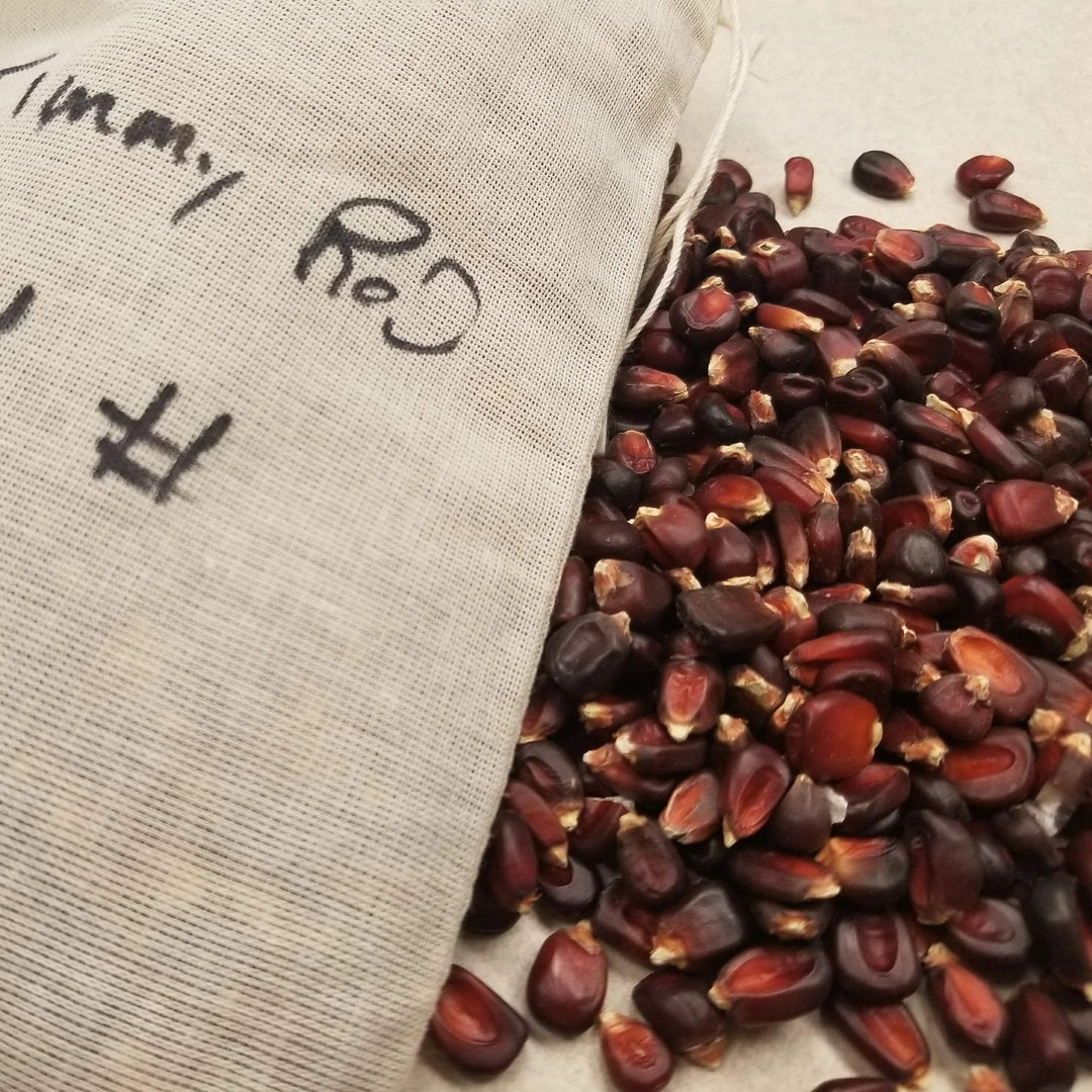Jimmy Red Dent Corn Seeds | Sow True Seed