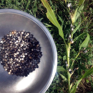 how to make jobs tears necklace