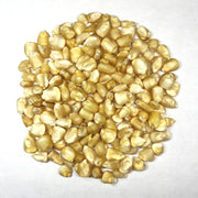 Dent Corn Seeds - Jimmy Red | Sow True Seed