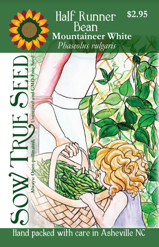 Pole Bean Seeds - Mountaineer White Half Runner | Sow True Seed
