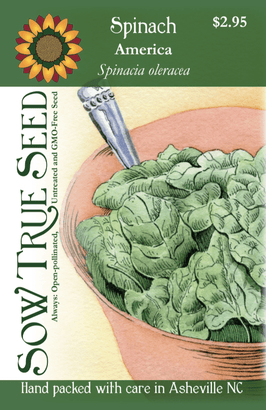 Spinach Seeds - America | Sow True Seed