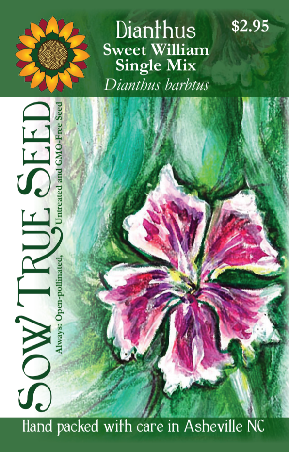 Dianthus Seeds - Sweet William Single Mix | Sow True Seed