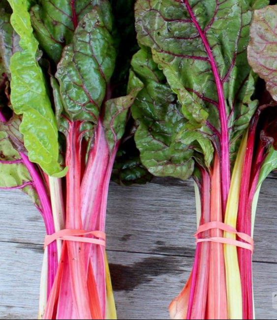 tumble chard