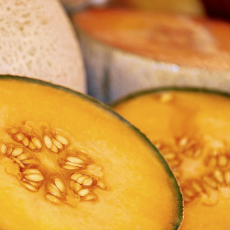 The Different Types of Melons: Rare & Common Varieties – Sow True Seed