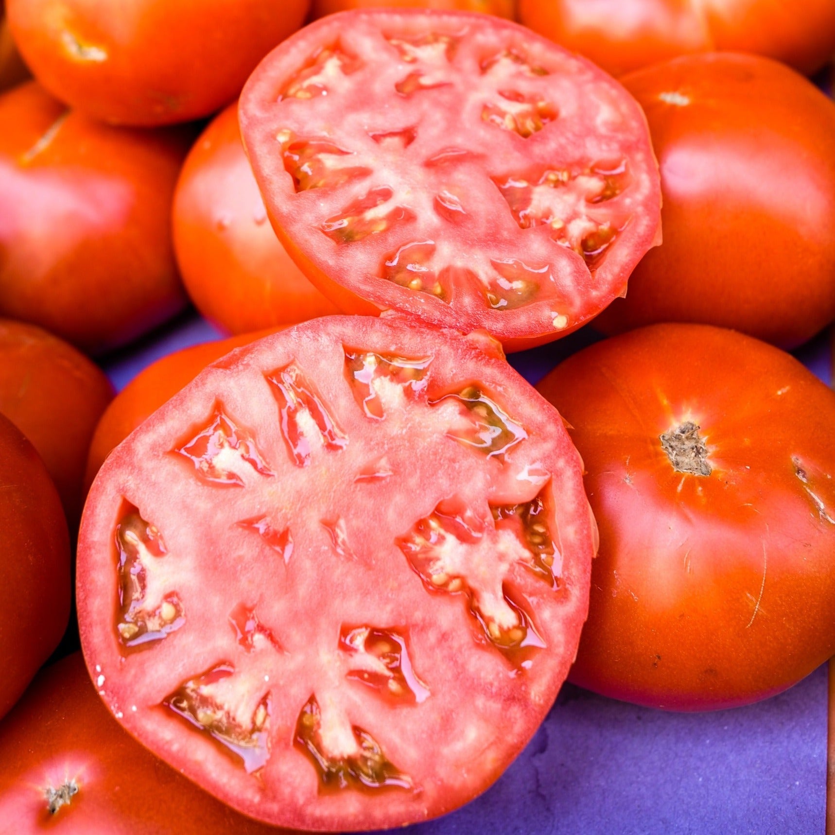 Slicing Tomato Seeds - Kewalo | Sow True Seed