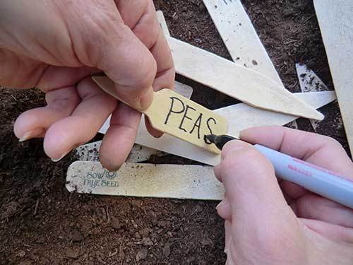 Wooden Plant Label Set, Small | Sow True Seed